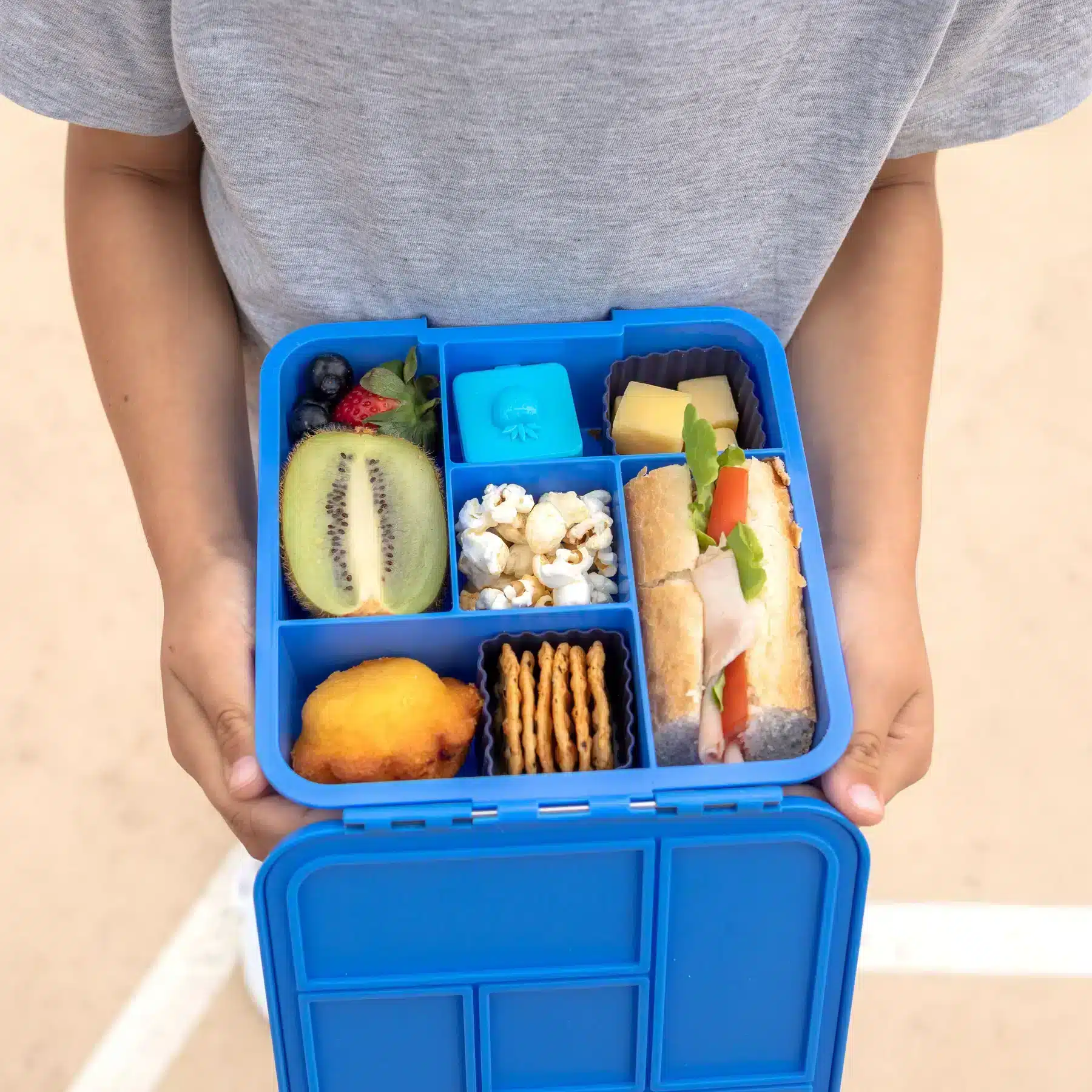Little Lunch Box - קופסת בנטו מחולקת 5 תאים - Blueberry Bento Five ...